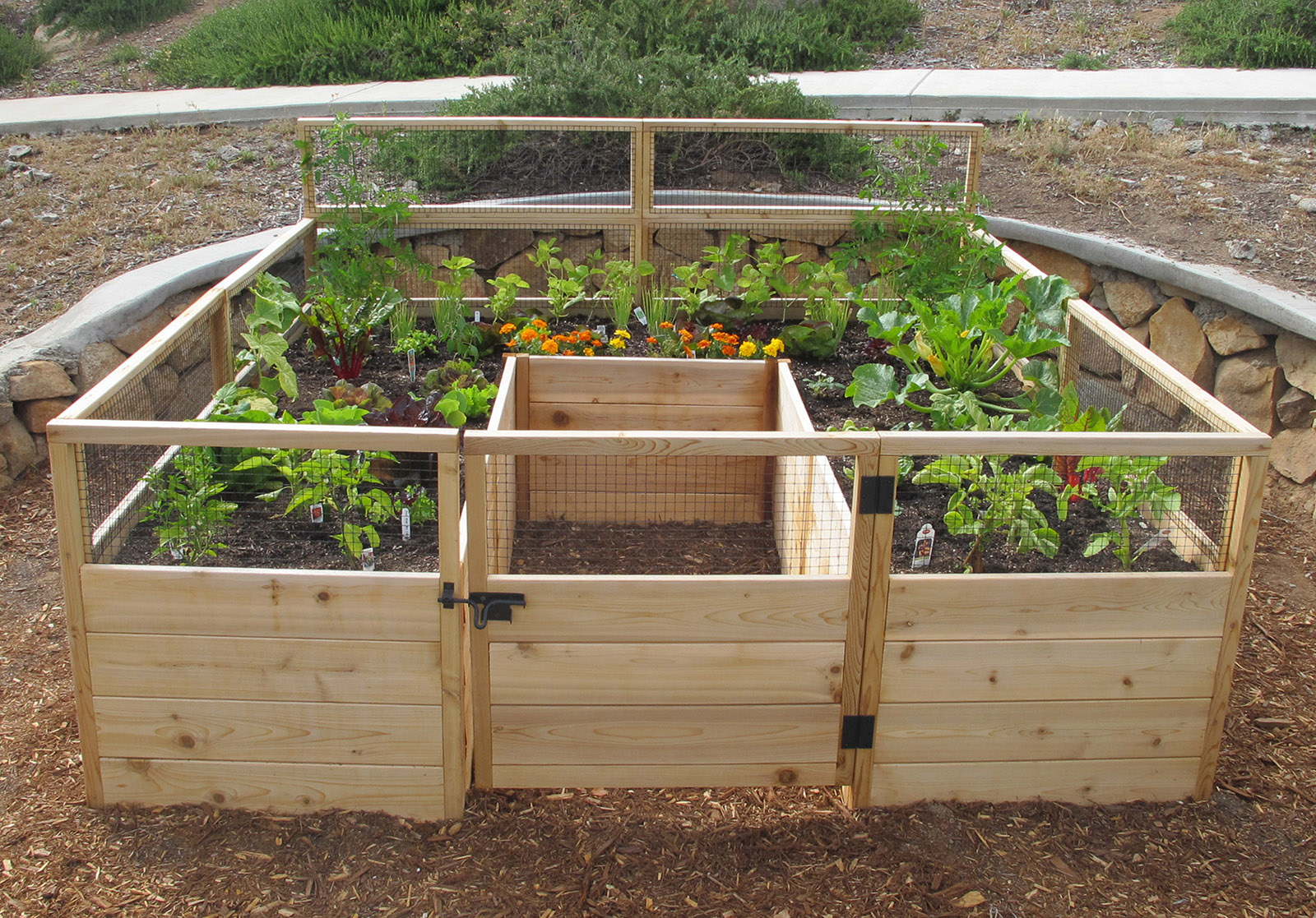 8’x8′ Complete Vegetable Garden Kit – Gardens To Gro