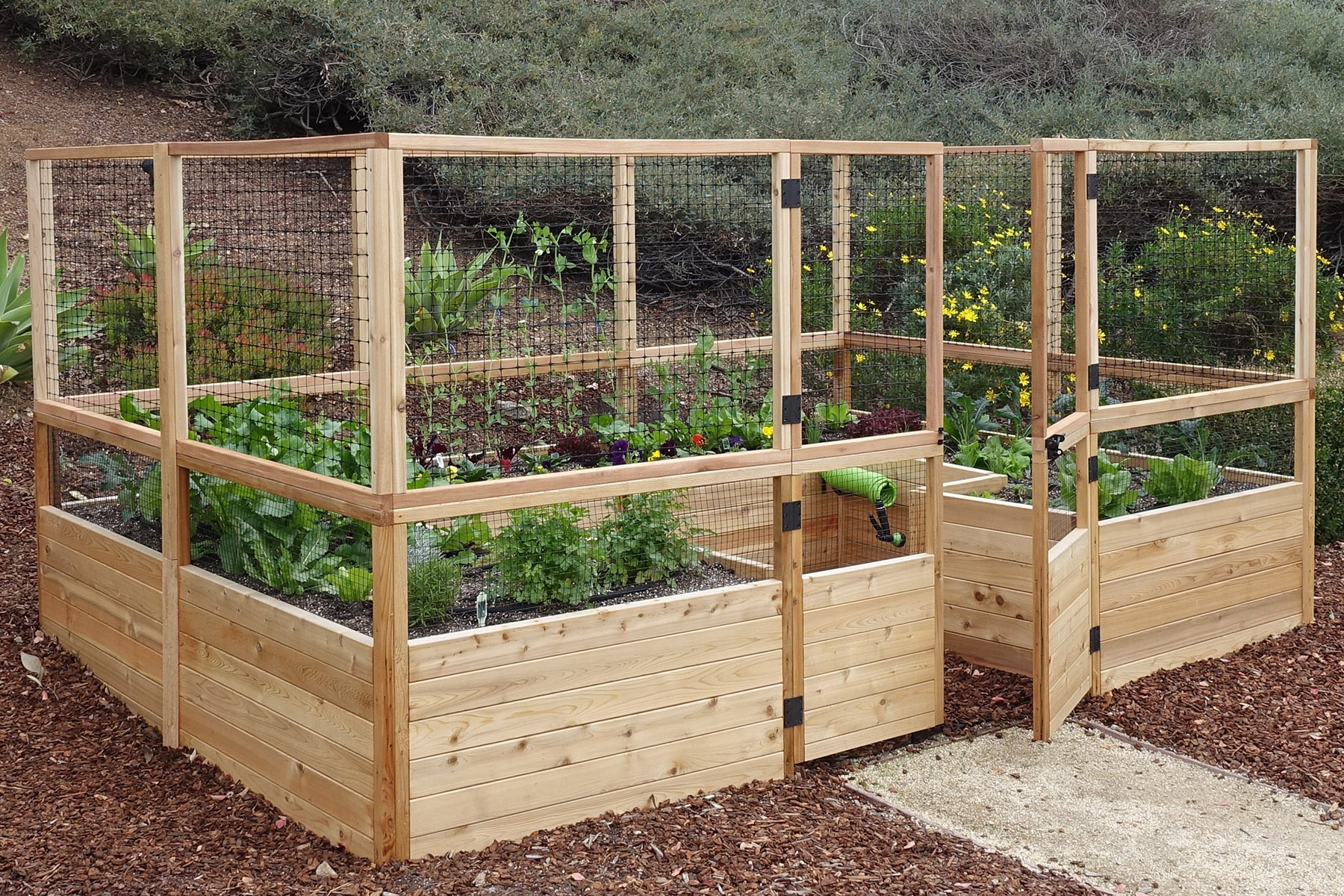 Gardens To Gro – Ready-Made Vegetable Gardens