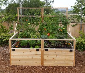 3’x6′ Convertible Raised Garden Bed – Gardens To Gro